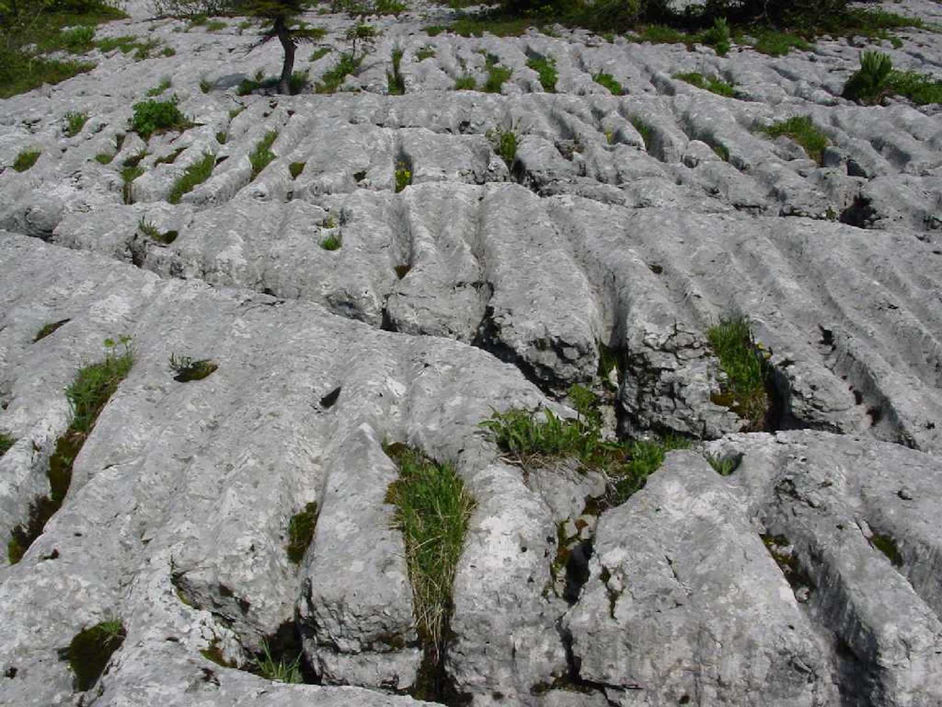 Les karsts - Paysages et Climats Alpins